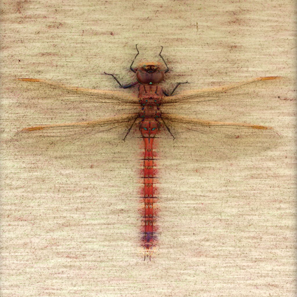 Alchemy | dragonfly - Alchemy